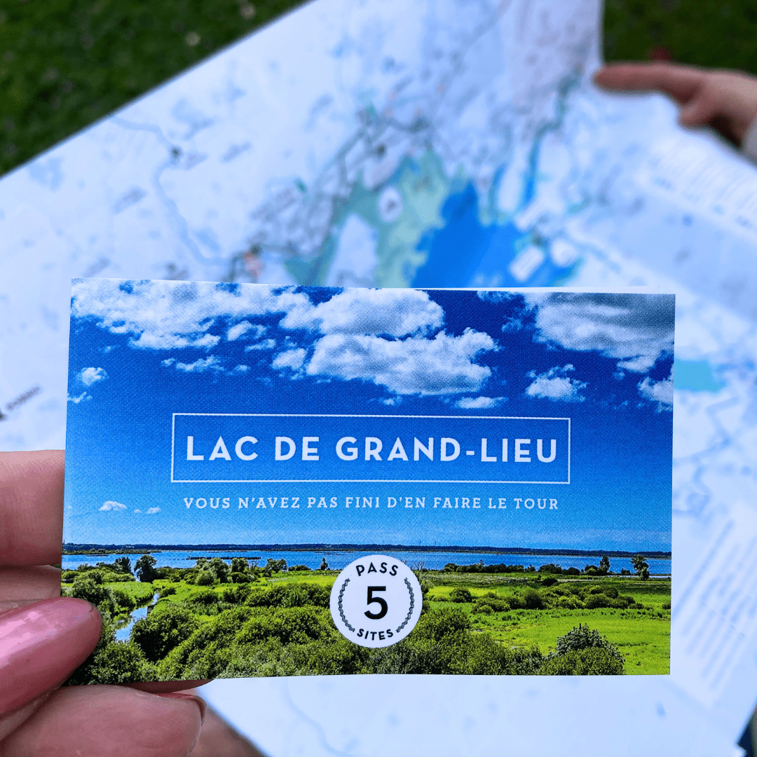 Lac de Grand-Lieu - Vous n'avez pas fini d'en faire le tour